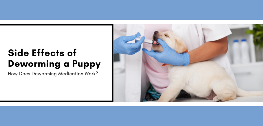 Side Effects of Deworming a Puppy | Causes and Precautions
